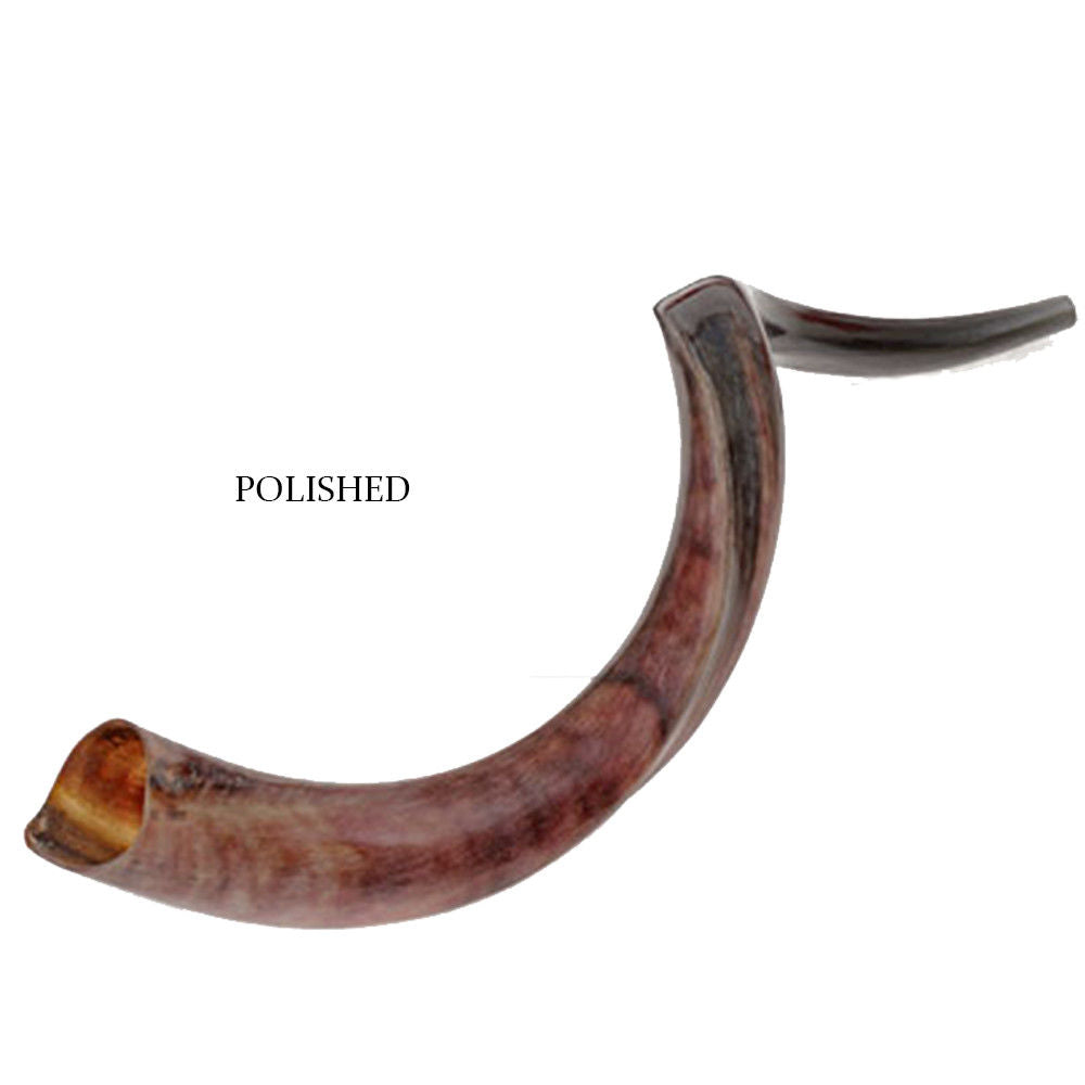 Shofar Horn